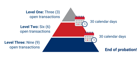 Understanding Bidder Probation