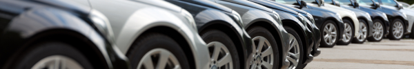 Category Spotlight: Automobiles/Cars - Utilizing Government Auto Sales